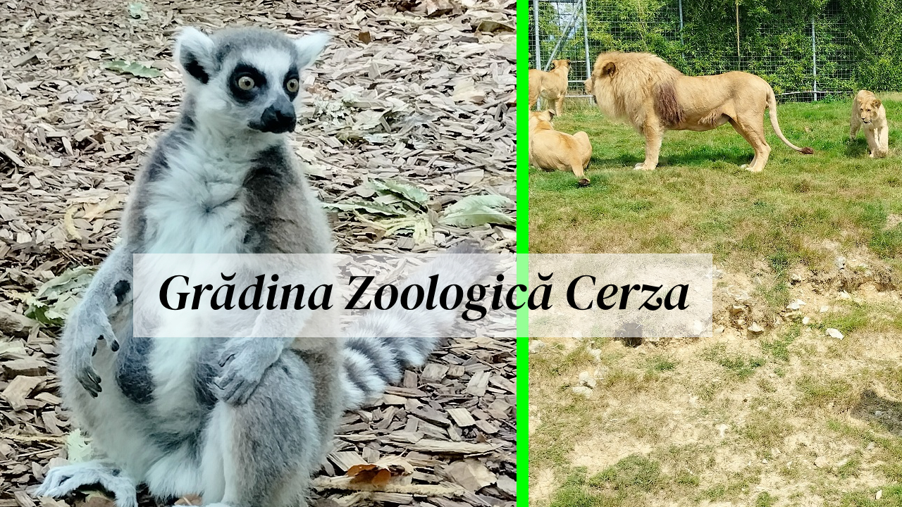 Vizita la Gradina zoologica din Cerza,Gradina zoologica...
